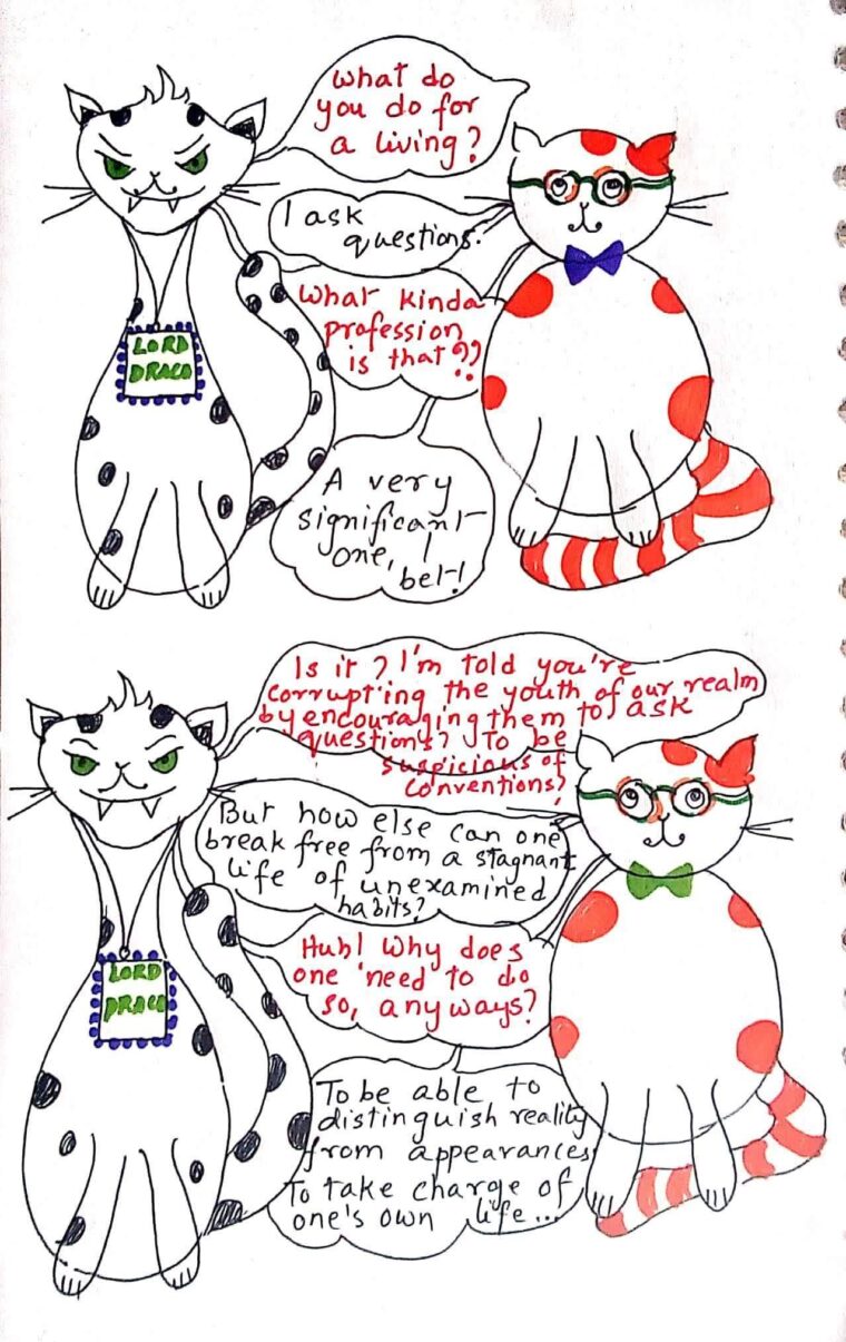 The CAT is always RIGHT - CatRight - The World Of Wise CATFELLAS